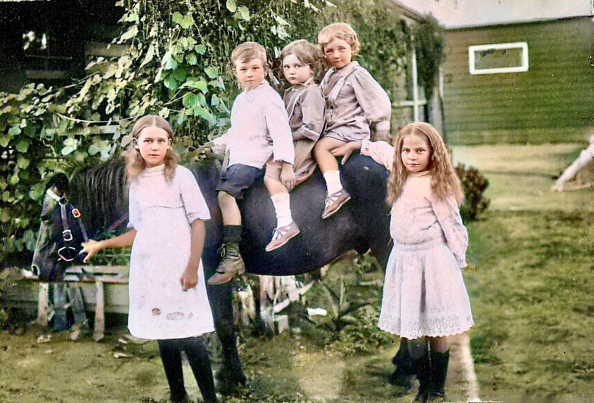 Nellie Smith - Skinner Family History